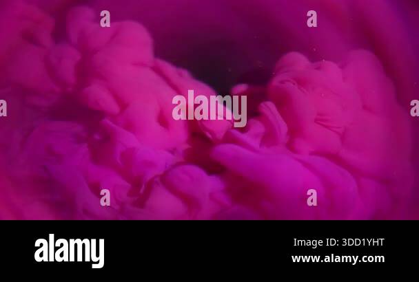 Smoke explosion. Blur fume. Pink purple mist ink blow on black ...