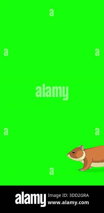 A cartoon-style ginger hamster. Handmade 2D animated HD footage ...