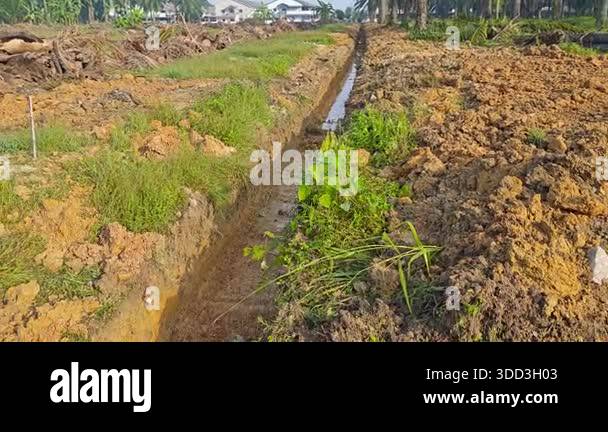 simple man-made drainage system at the plantation land Stock Video ...