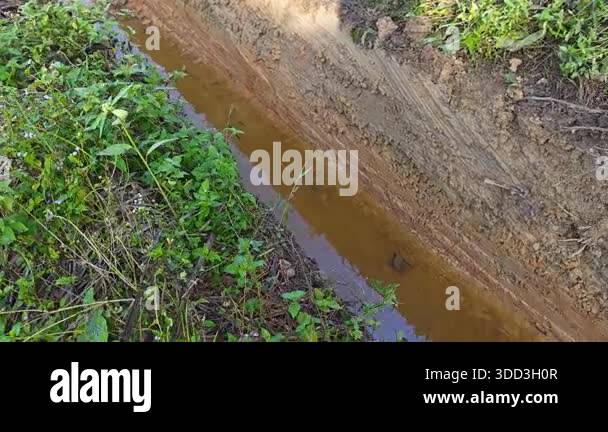 simple man-made drainage system at the plantation land Stock Video ...