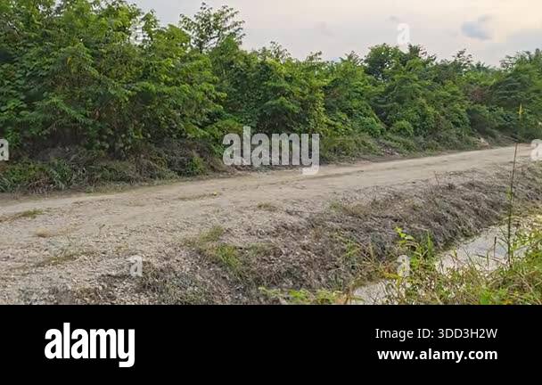 simple man-made drainage system at the plantation land Stock Video ...
