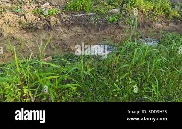 simple man-made drainage system at the plantation land Stock Video ...