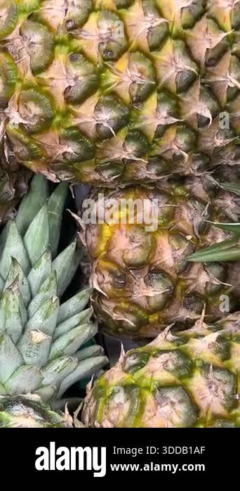 Close up view of ripe pineapple skin texture and pattern Stock Video ...