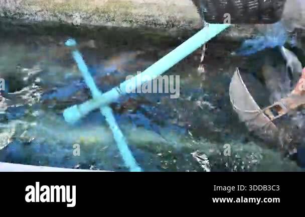 Aquarium tank water plastic pipe basket sea water marine life fishing ...