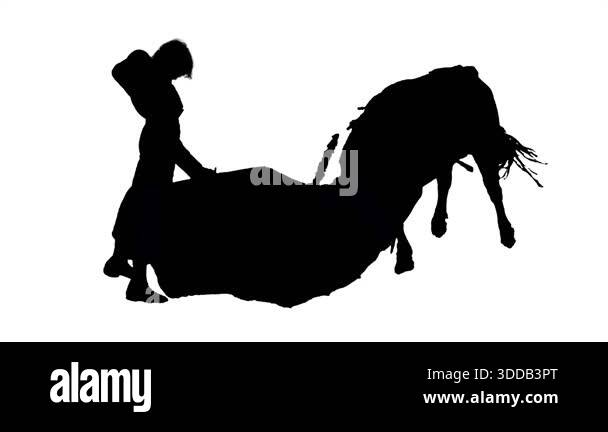 Side view long shot of isolated graphic of young bullfighter versus ...