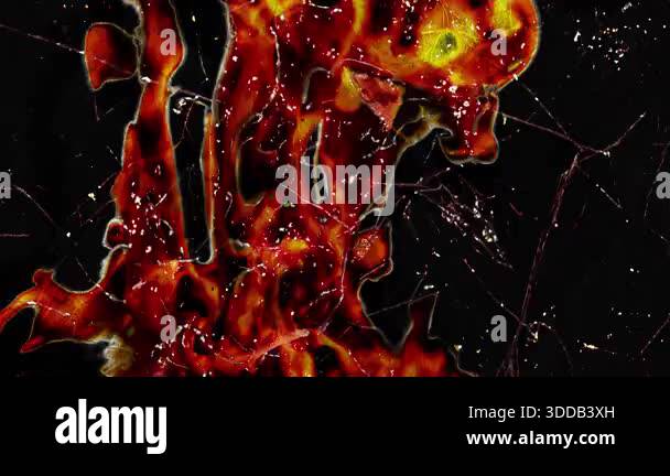 Fireflames motion over black background 2d seamless looped animated ...