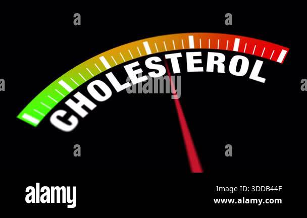 Motion graphic of a cholesterol health monitor gauge displaying levels ...