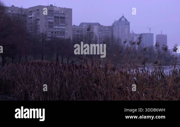 Cold and foggy autumn day in a city park with a lake surrounded by ...