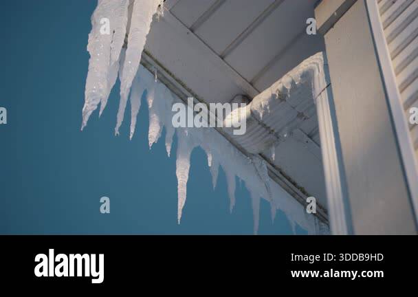 Long, heavy sharp icicles forming along the edge of a roof and gutter ...
