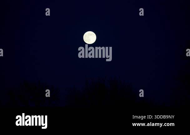 Bright full moon glowing against a black night sky. The simple, clean ...