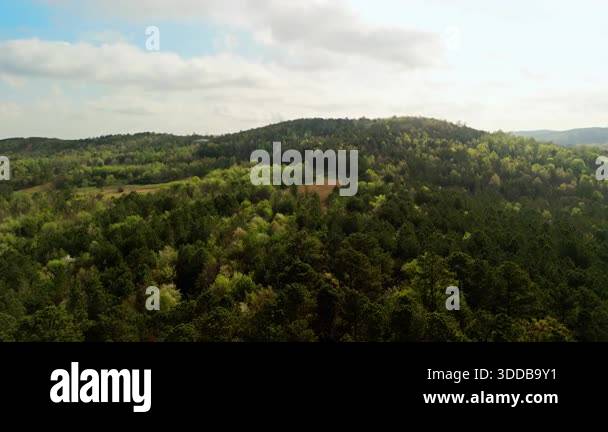 Aerial top down view of dense green forest with lush woodland. Spring ...