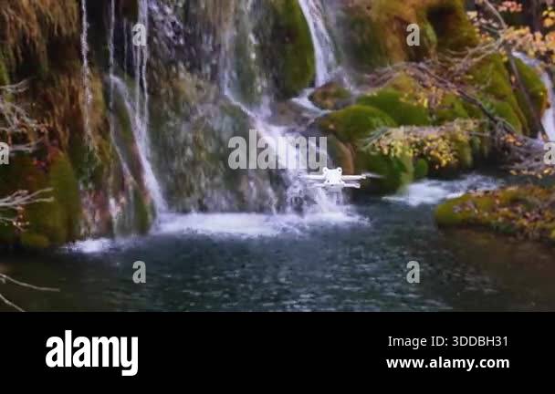 Mini lakes Stock Videos & Footage - HD and 4K Video Clips - Alamy