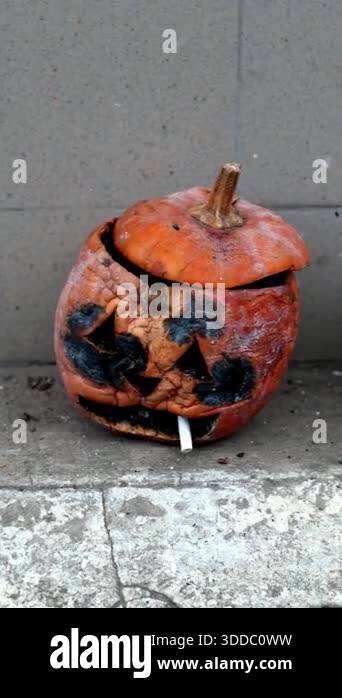A close-up reveals the decayed remnants of Halloween: two carved ...