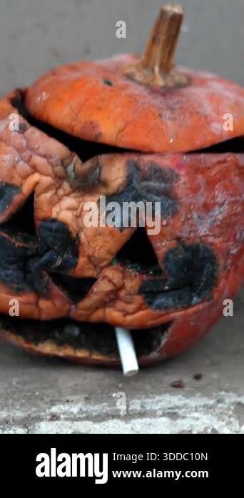 A decaying Halloween pumpkin with a cigarette in its mouth, lying on ...