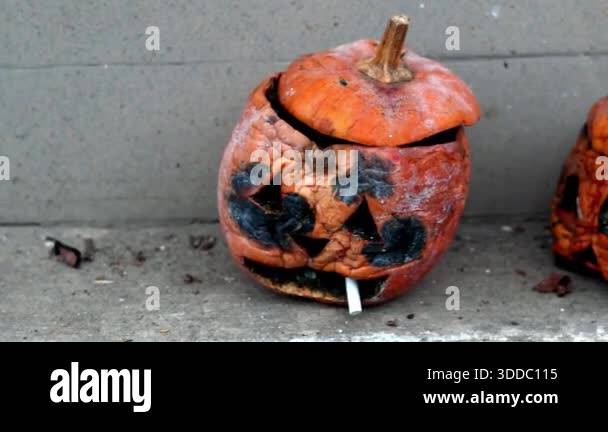 Decayed jack-o'-lantern featuring a cigarette, symbolizes Halloween's ...