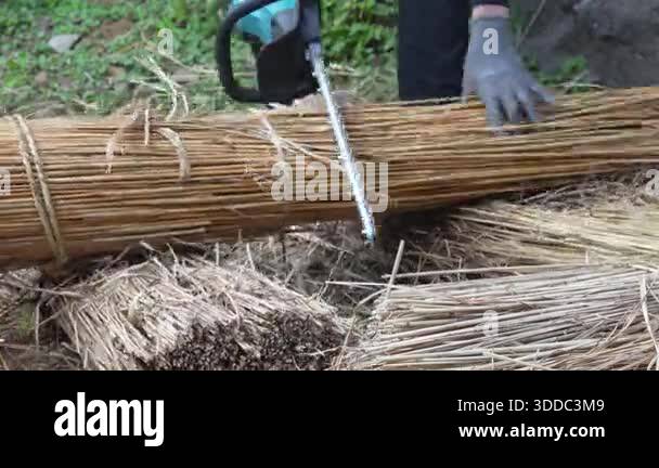 Image of a man cutting thatch Stock Video Footage - Alamy