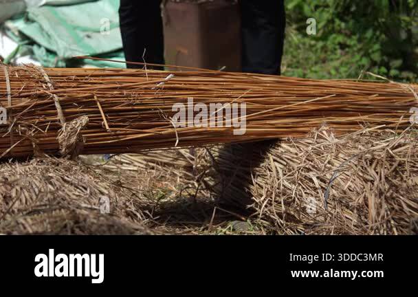 Image of a man cutting thatch Stock Video Footage - Alamy