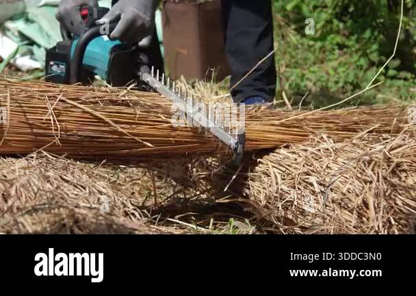 Image of a man cutting thatch Stock Video Footage - Alamy