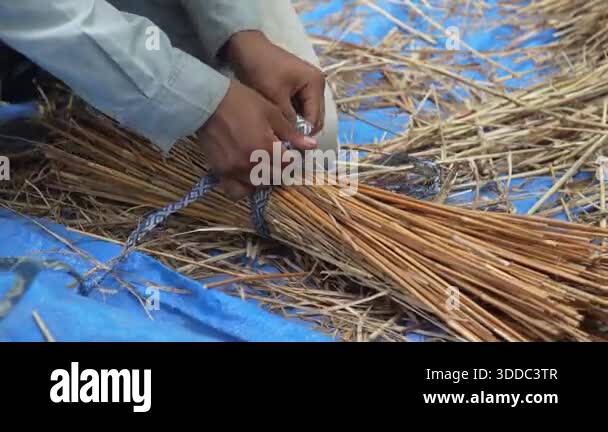 Image of how thatch bundles are made Stock Video Footage - Alamy