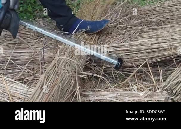 Image of a man cutting thatch Stock Video Footage - Alamy