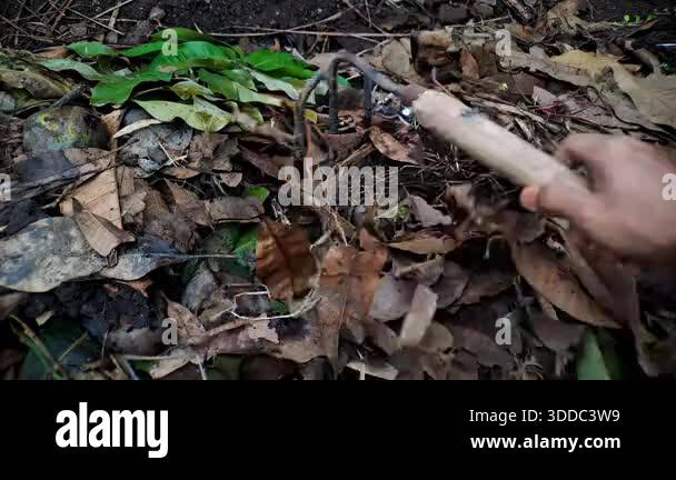 Hand using garden claw rake Stock Videos & Footage - HD and 4K Video ...