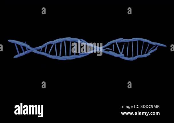 Abstract animated DNA structure, transparent background with alpha ...