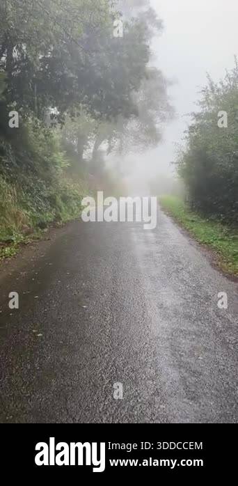 vertical first person point of view of someone walking along a wet ...