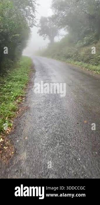 First person point of view of someone walking along a wet forest road ...