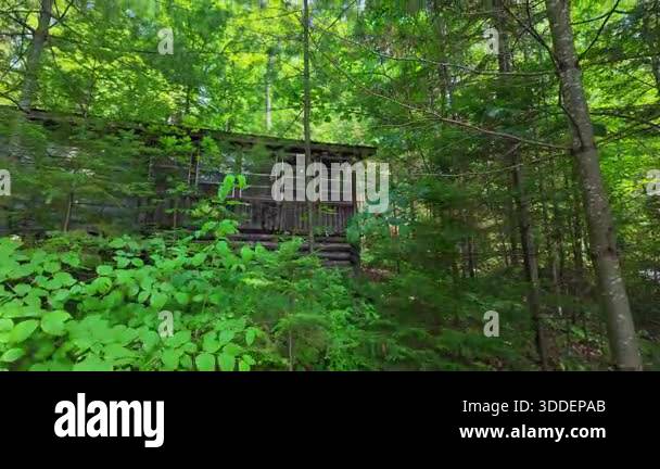 Beautiful Northern American forest vegetations view with cabin hut ...