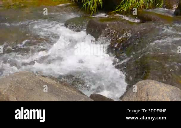 Looping closeup of clear foamy stream water running across moss-covered ...