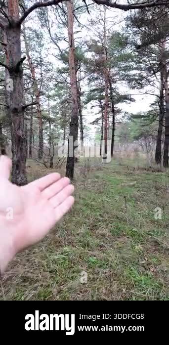 Various hand gestures. Hands demonstrate various gestures in a calm ...