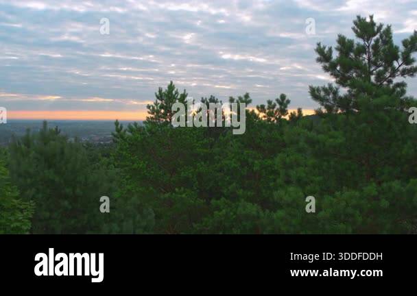Aerial drone view stunning landscape on summer evening. Green bushy ...