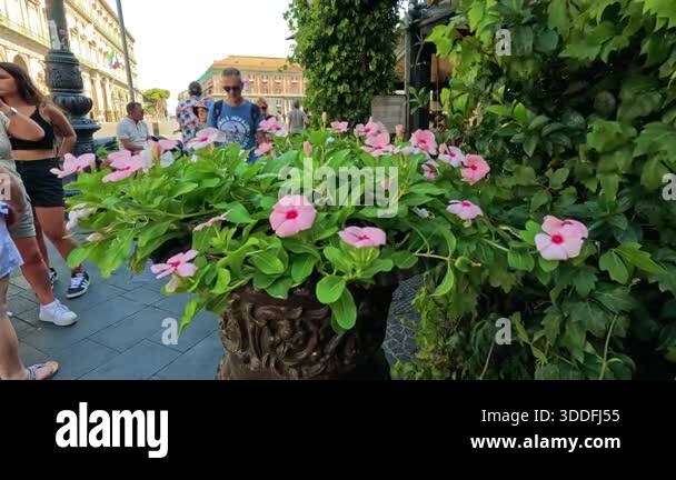 Tourists walk past vibrant flowers in Naples Stock Video Footage - Alamy