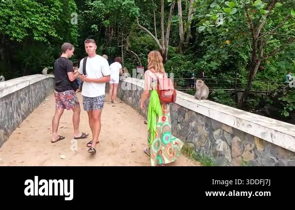 Tourists observe monkeys on a scenic bridge Stock Video Footage - Alamy