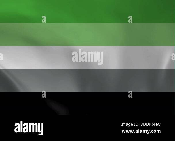 The four-stripe LGBTQ Asexual Pride Flag, with black, gray, white, and ...