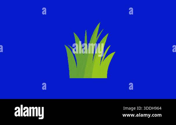 Animation of plant on chroma key Stock Video Footage - Alamy