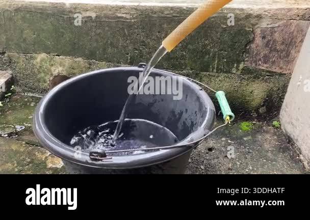 Clear water flows from a hose into a blue bucket. Water is poured into ...