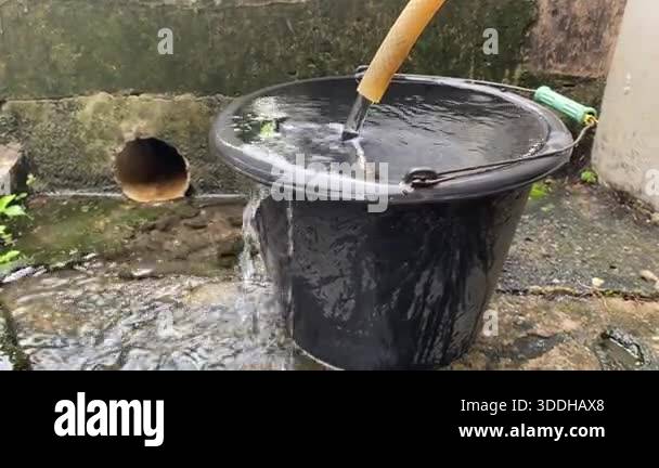 Clear water flows from a hose into a blue bucket. Water is poured into ...