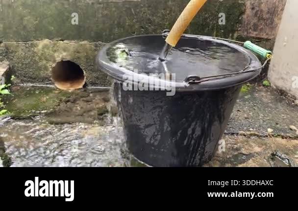 Clear water flows from a hose into a blue bucket. Water is poured into ...