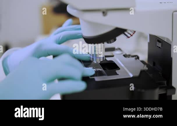 Close up view of microscope objective lenses focusing on a sample Stock ...