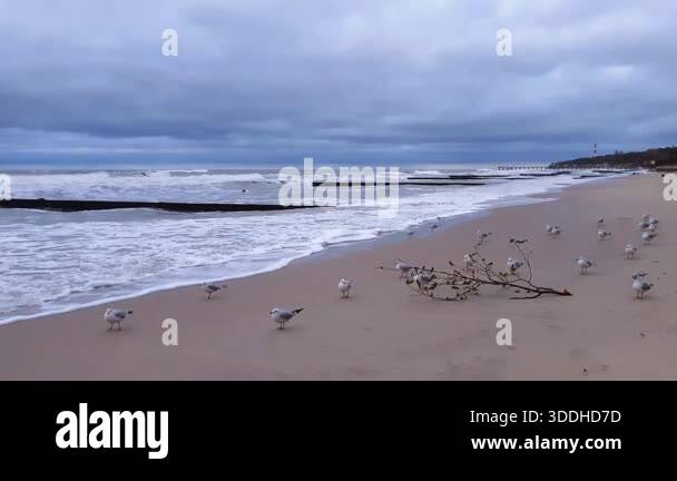 Desolate seascape with coastal surf stormy waves rolling on sand beach ...