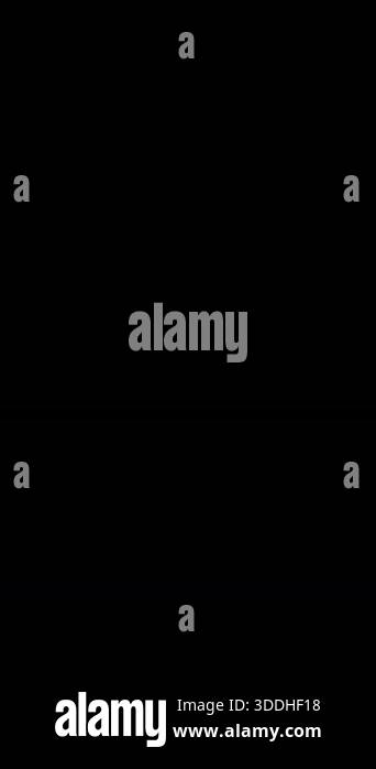 Vertical video displays the words "Stay Organized Daily" one by one in ...