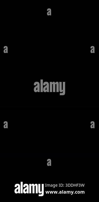 Vertical video displays the words "Stream Anywhere Anytime" one by one ...