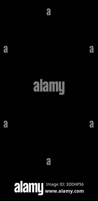 Vertical video displays three words in sequence, each word appears with ...