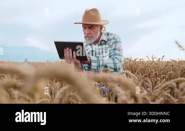 Close up of farmer agronomist man with a hat uses a tablet computer in ...