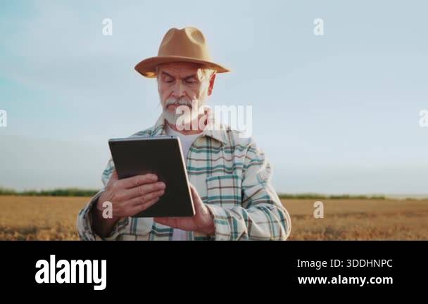 Attractive farmer agronomist use tablet computer in field wheat. Senior ...