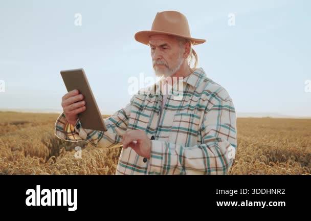 Sunlight portrait serious farmer agronomist use tablet computer in ...