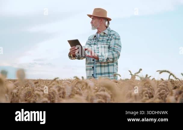 View of handsome sunset farmer agronomist man with a hat uses a tablet ...