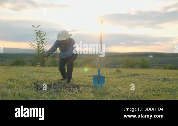 Old rancher in checkered shirt and cowboy hat stands beside a sapling ...
