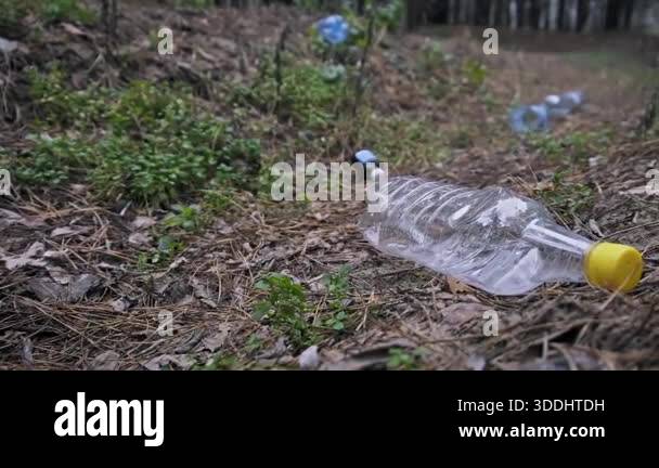 A clear plastic bottle with a yellow cap lies discarded on the forest ...